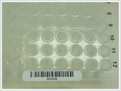 Cryogenic Labels - Premium Labels | freezer-labels.com